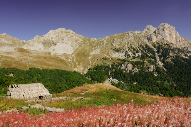 Katuni Kučkih planin – Planinski Muzej