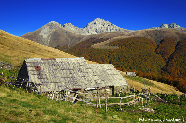 Katuni Kučkih planin - Planinski Muzej